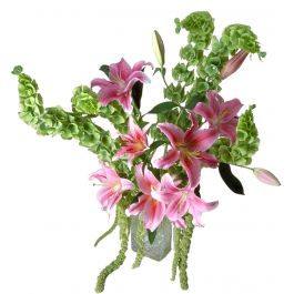 Acapulco Lily Extravaganza Fresh Flower Profiles | Flower of the Month Club